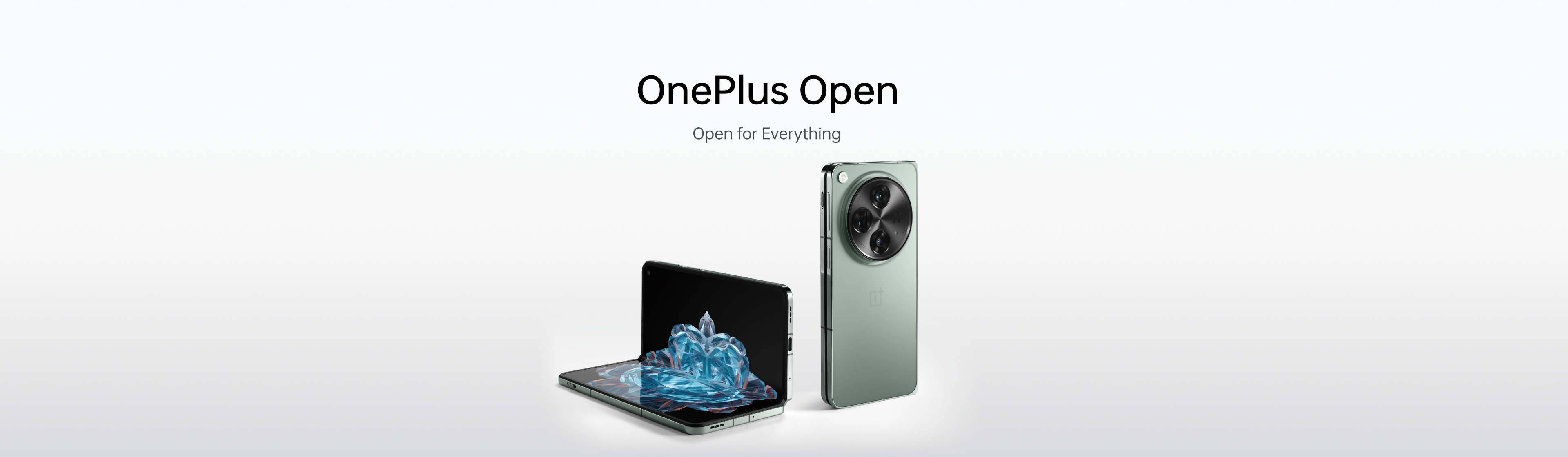 OnePlus Open Service